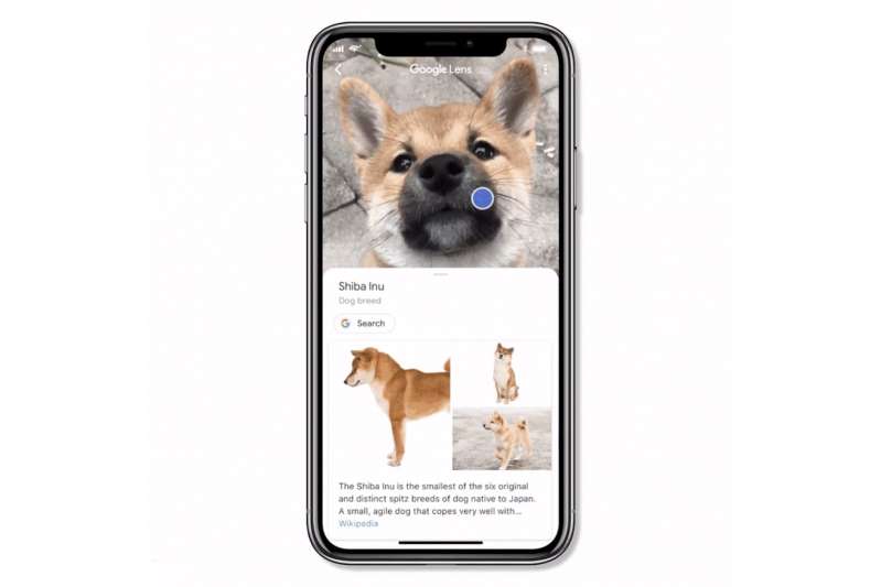 Google Lens ใช้ได้บน iOS แล้วผ่านแอป Google Search – Dailygizmo