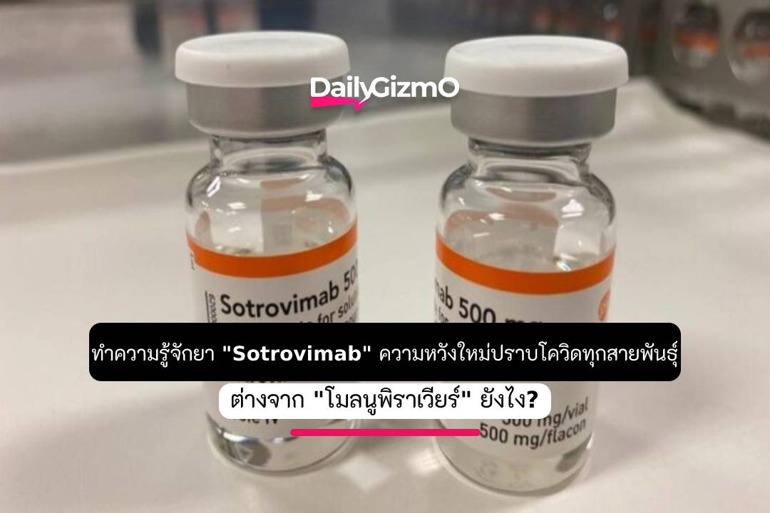 ทำความรู้จักยา Sotrovimab ความหวังใหม่ปราบโควิดทุกสายพันธ์ุ – Dailygizmo