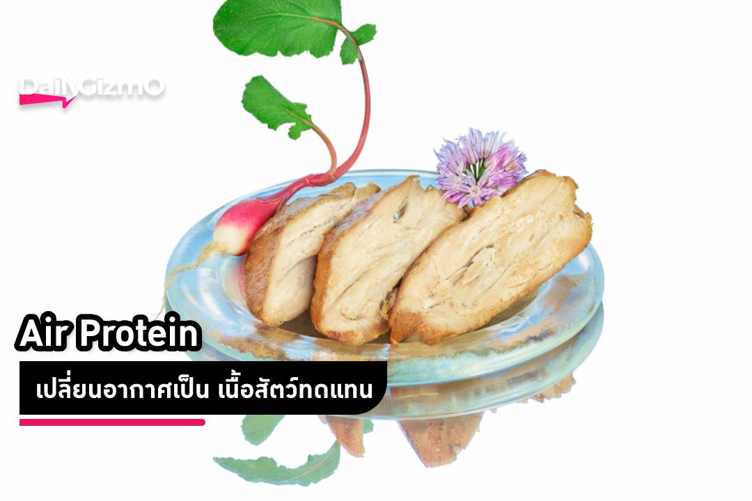 Air Protein เปลี่ยนอากาศเป็น เนื้อสัตว์ทดแทน – Dailygizmo