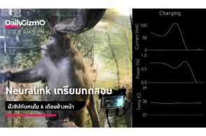 iTAX เปลี่ยนภาษีเป็นเรื่องง่ายสำหรับทุกคน ครบทั้งคำนวณและวางแผนภาษี – Dailygizmo